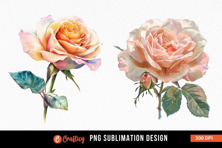 Watercolour Pastel Rose Clipart