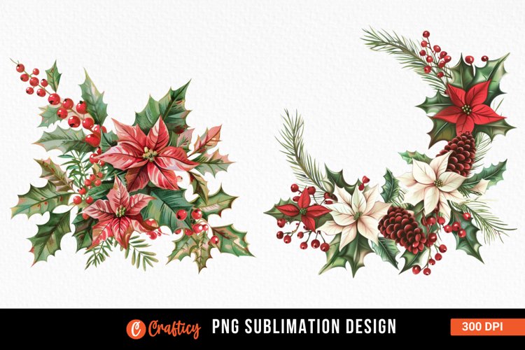Watercolor Christmas Flowers Clipart