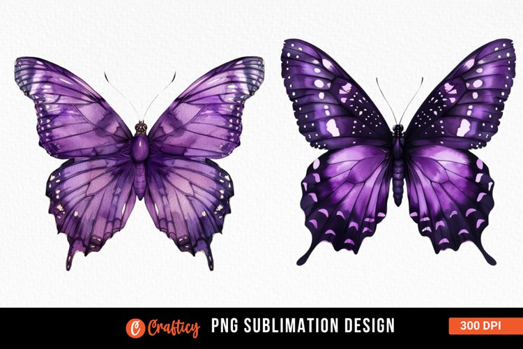 Watercolor Purple Fantasy Butterfly Clipart