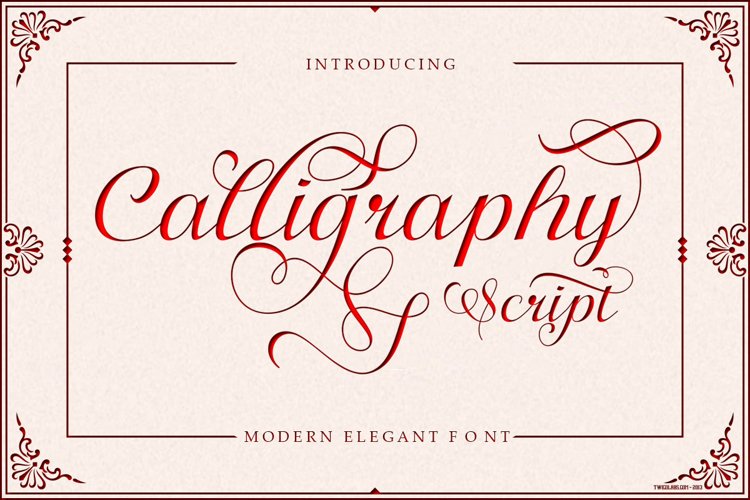 Shape Studio | Font Bundles