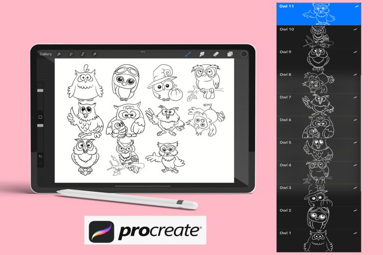 Cartoon Owl Procreate Brush Stamps, 11 Cute Owls