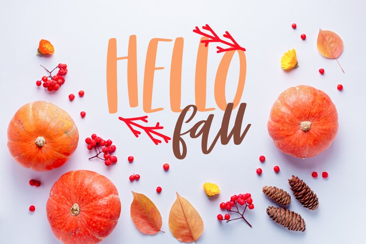 Font Bundles | The Best Free and Premium Font Bundles