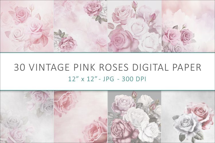 Vintage Pink Roses Digital Paper (2554457)