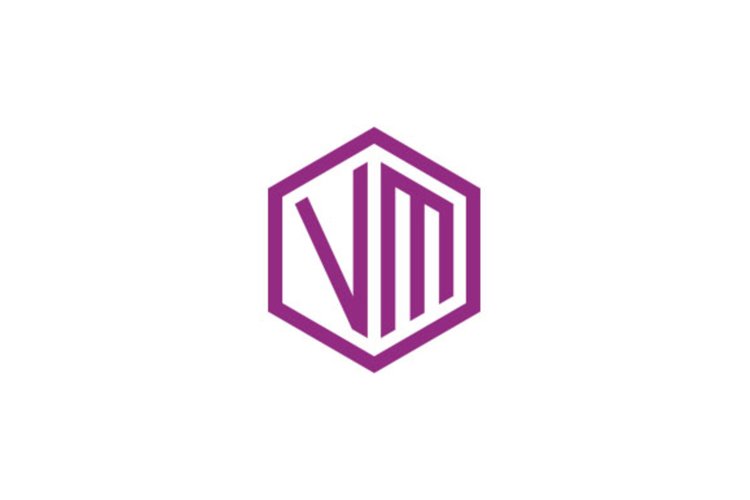VM Logo design (2388546)