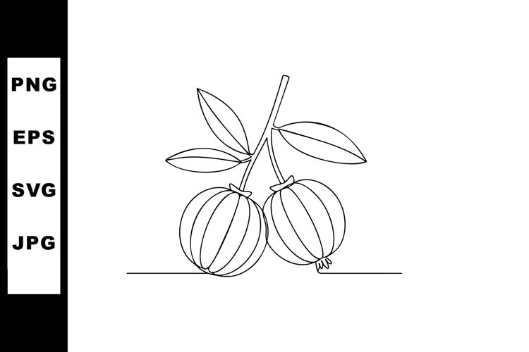 Organic line art of two ribbed fruits on branch with leaves