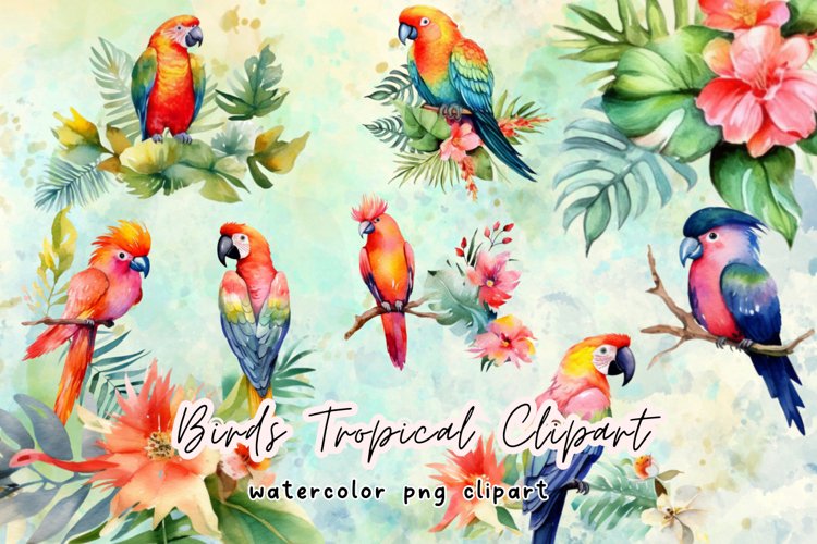 Watercolor Birds Tropical Clipart Png