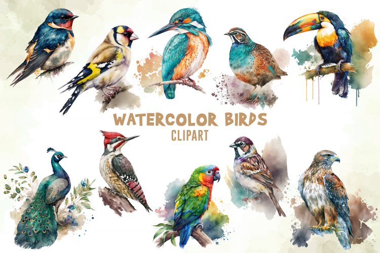Watercolor Birds Bundle, Birds Watercolor Clipart