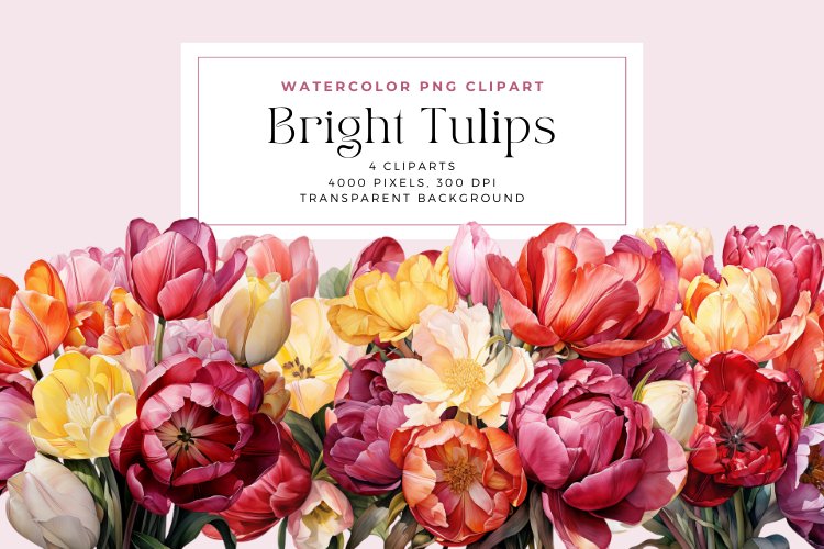 4 Watercolor Bright Tulips Clipart