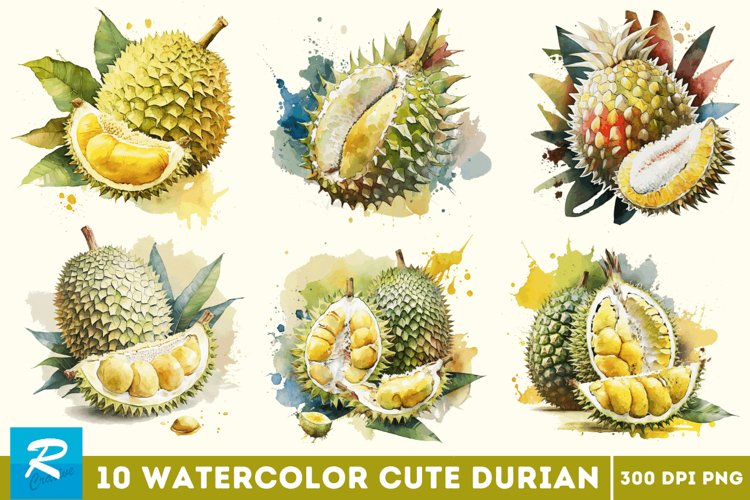 Durian Drawing