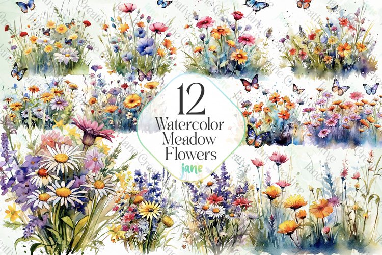 Watercolor Meadow Wildflowers Clipart