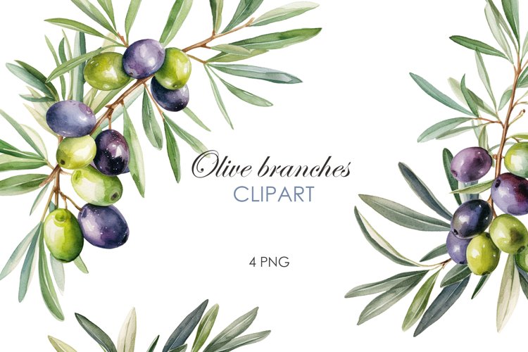 Watercolor Olive branches clipart