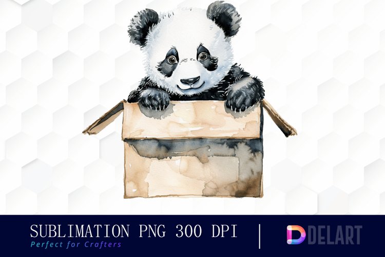 Panda In Box Illustration Clipart