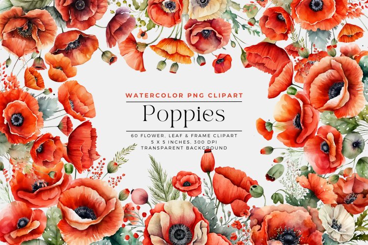60 Poppies Flowers PNG, Watercolor Floral Clipart Bouquets