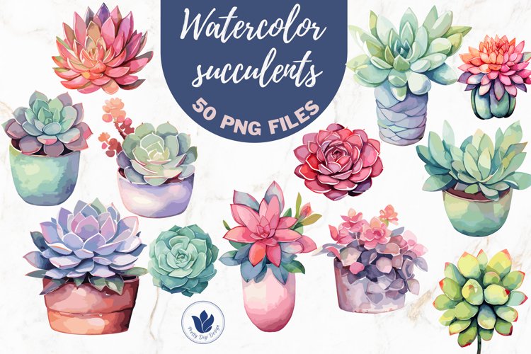 Watercolor Succulents | 50 PNG files