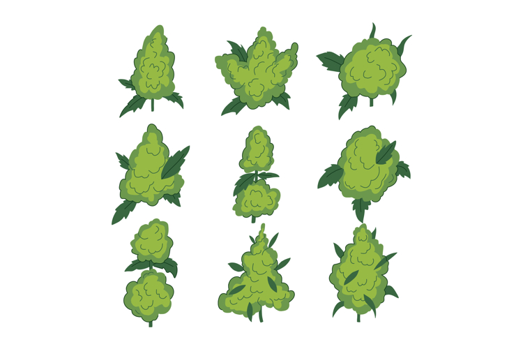 weed bud set cartoon (6570832)