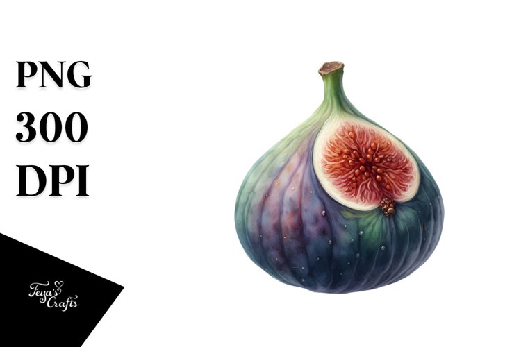 Colorful Fig | Sublimation Clipart