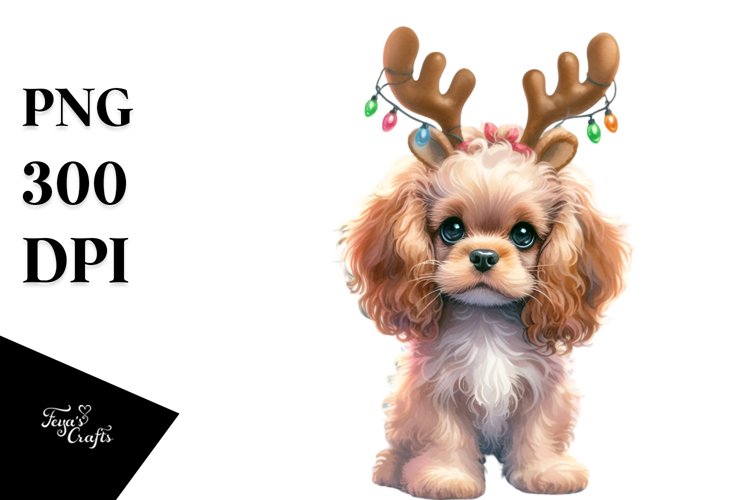 Baby Cocker Spaniel in Christmas Outfit, PNG