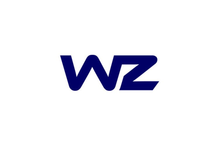 WZ logo design (2390755)
