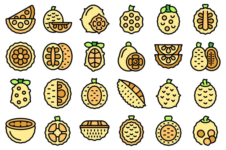 Jackfruit icons set vector flat
